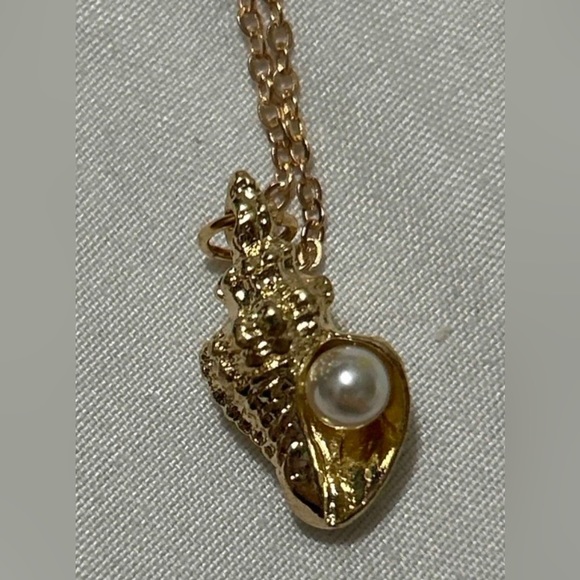 Jewelry | Pearl In A Triton Olive Trumpet Spindle Shell Murex Gold ...